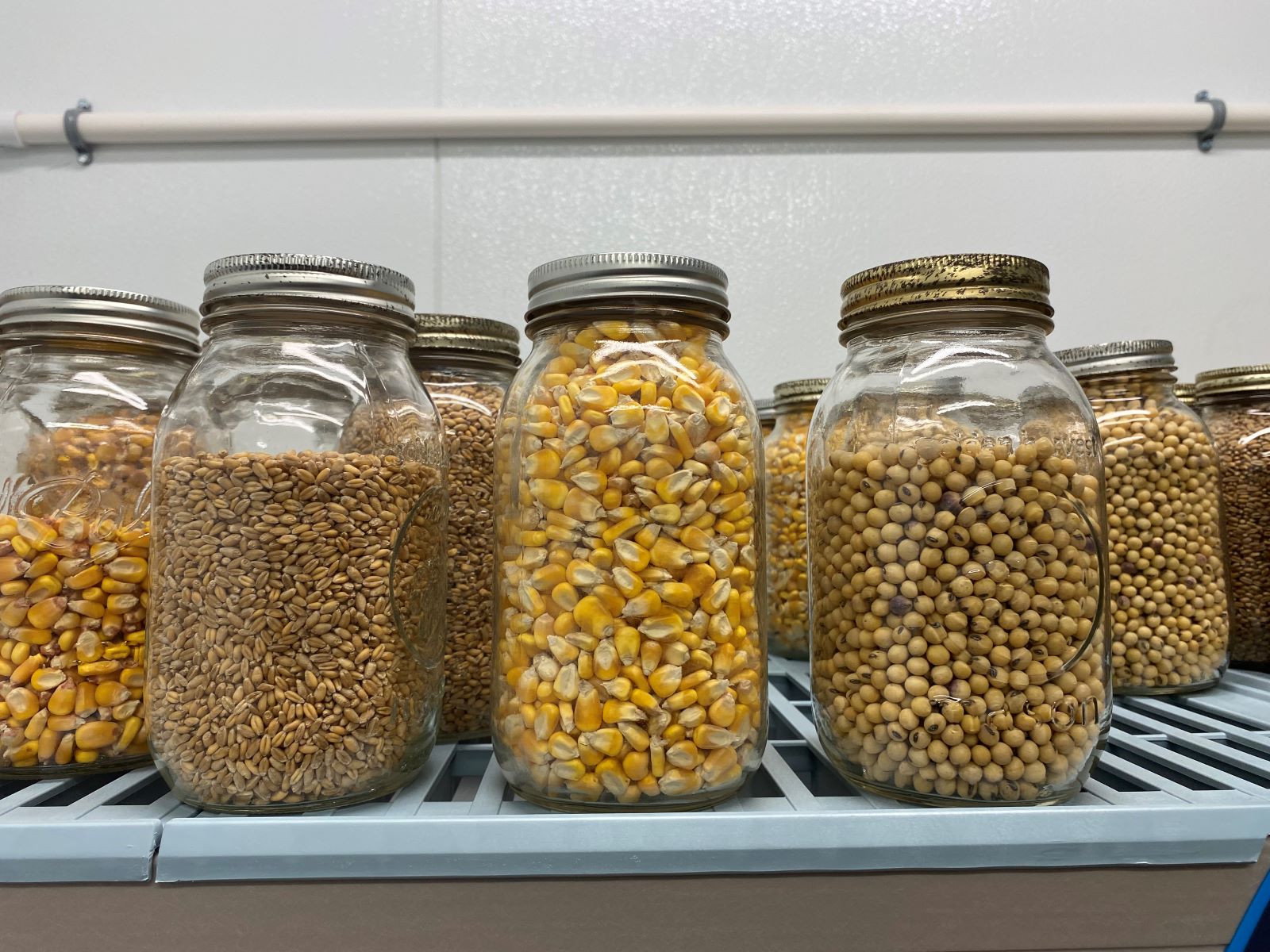 Standards - Grain Moisture Laboratory and Field Work | NC Agriculture